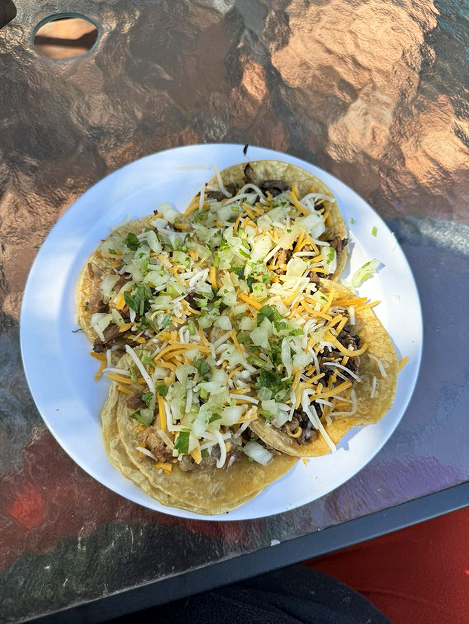 These carnitas tacos aren't trying to impress anyone with fancy plating – they're too busy delivering slow-cooked pork perfection in every humble, magnificent bite.