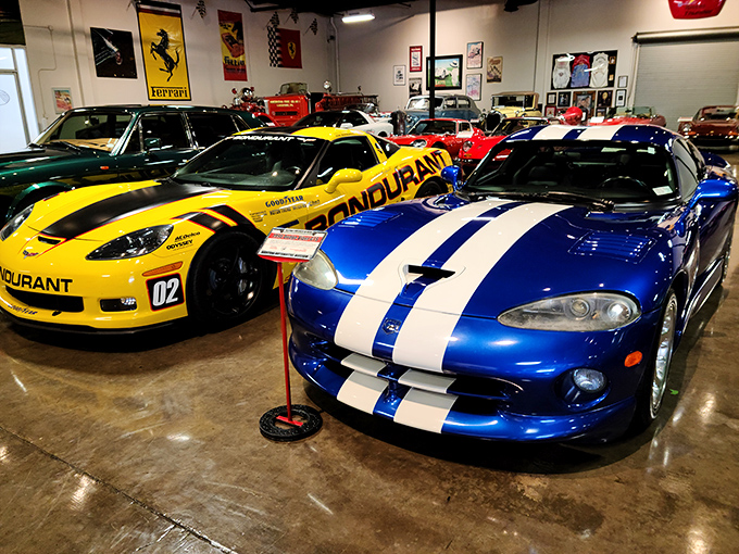 American muscle meets European precision in this colorful lineup. It's like watching the Olympics of automotive excellence, minus the national anthems.