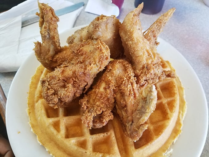 Chicken and waffles: the culinary marriage that proves opposites don't just attract &ndash; they create magic on a plate.