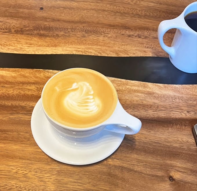 Cortado perfection: the golden ratio of espresso to milk creates that caramel-colored canvas. Coffee geometry at its most delicious.