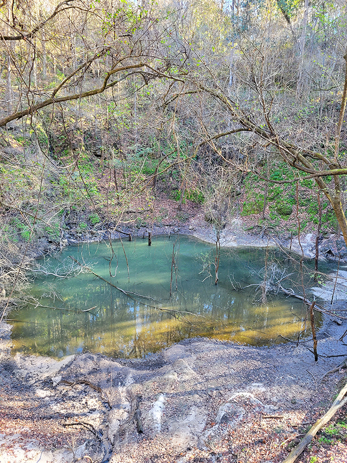 A miniature Grand Canyon hiding in plain sight. This emerald pool at the bottom of the sinkhole looks like nature's own infinity pool.