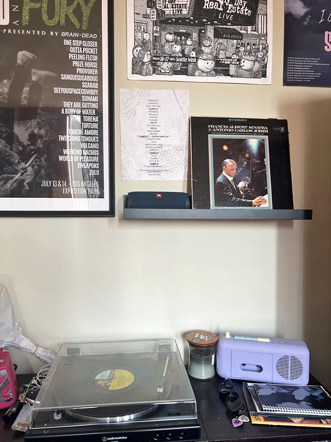 A little shrine to Ol' Blue Eyes himself, complete with turntable. Some voices, like some books, deserve to be experienced in their original format.
