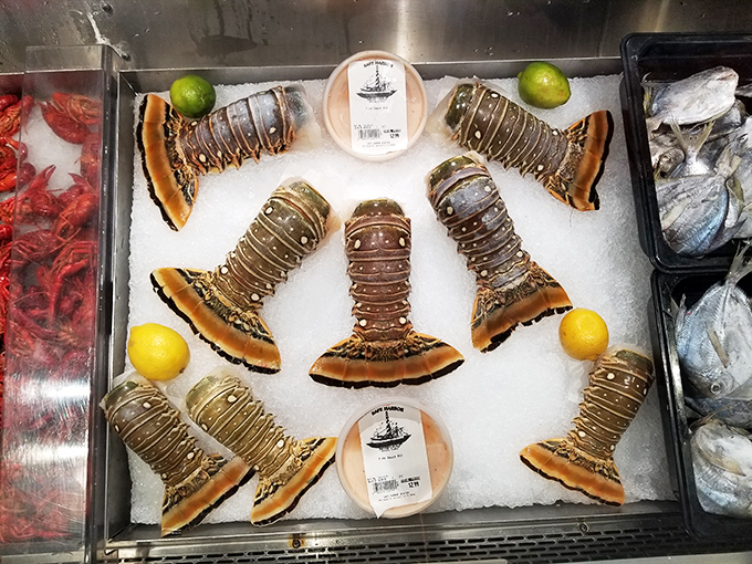 Lobster tails on ice&mdash;nature's perfect design meets Florida's perfect meal. Like jewels in a seafood crown, waiting for their butter throne.