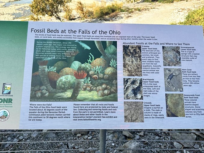 This informative sign reveals what swam here when Indiana was tropical beachfront property. Talk about extreme home makeovers!