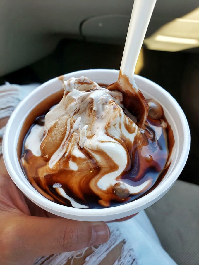 Hot fudge cascading over vanilla soft serve creates that perfect sweet alchemy. The way the warm chocolate sauce meets cold ice cream is nature's most perfect temperature contrast.