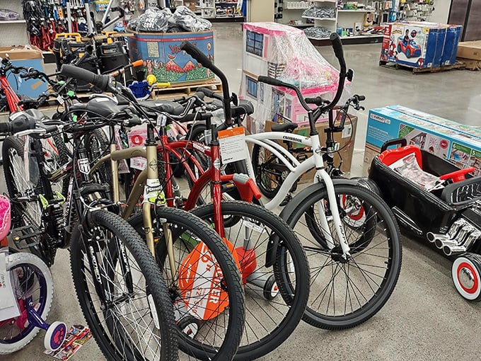 Bicycles lined up like hopeful contestants on a game show, each one waiting for its forever home at a fraction of retail price.