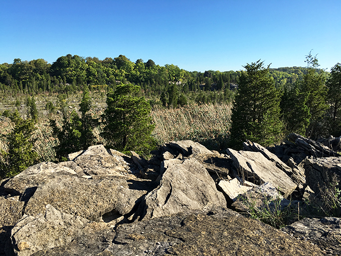Nature's quarry reclamation project puts human efforts to shame. Rocks and trees living their best life after retirement.