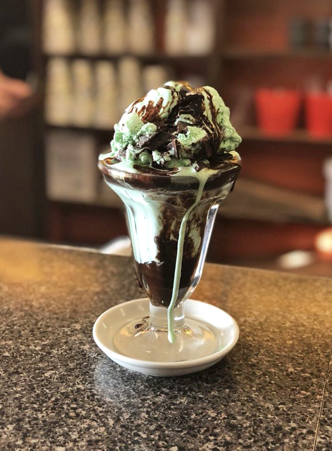Mint chocolate chip that makes your store-bought version look like it needs therapy. The chocolate sauce is just showing off.