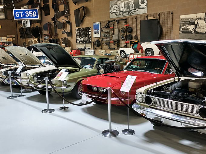 The GT-350 sign watches over these automotive celebrities like a proud parent &ndash; each Mustang with its own personality and racing pedigree.