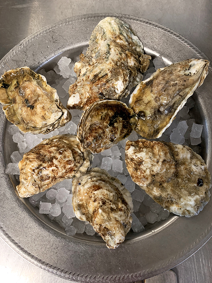 Oysters on ice&mdash;nature's perfect appetizer. These briny beauties need nothing more than a squeeze of lemon and a moment of appreciation.