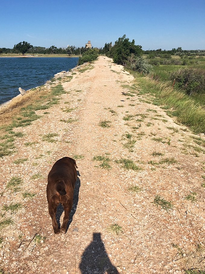 A path less traveled leads along the water's edge. One side prairie, one side beach—only in Oklahoma could this marriage exist.