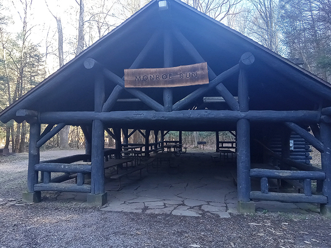 The rustic Monroe Run picnic shelter stands ready for family gatherings, like a woodland community center where squirrels hold their town meetings.