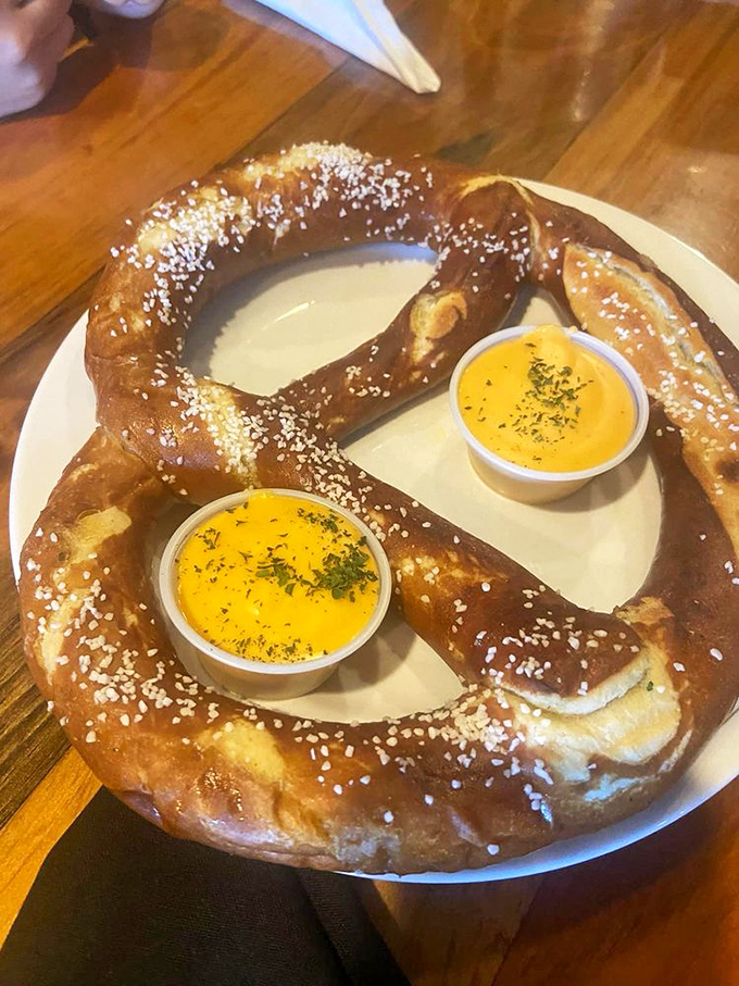 Two dips are better than one&mdash;like having both Netflix AND cable. This pretzel demands your full attention and deserves every bit of it.