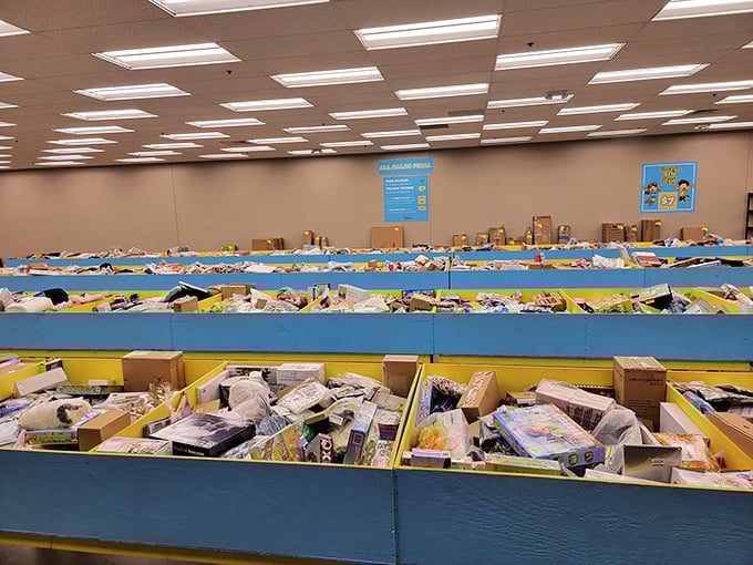 Each bin tells a different story. This one's clearly titled "Things You Didn't Know You Needed Until Right This Second."