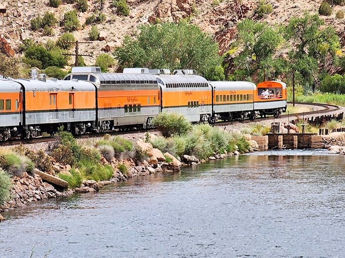 All aboard nostalgia! The Royal Gorge Route Railroad carries passengers through spectacular canyon scenery that no smartphone photo can truly capture.