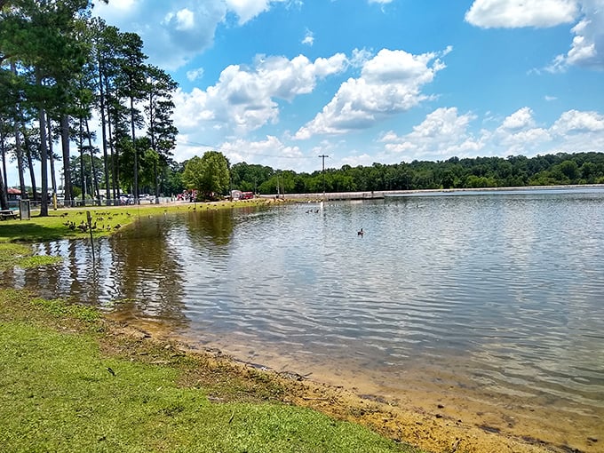 Sportsman Lake provides serene water views that would cost millions elsewhere. Nature's therapy session comes free with Cullman residency.
