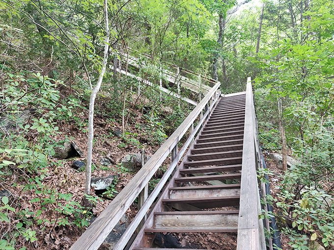 The stairway to serenity leads visitors through a verdant forest corridor. Worth every step, even in flip-flops.