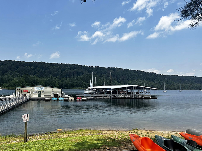 Boat heaven! The marina stands ready for aquatic adventures, with colorful kayaks waiting like eager puppies hoping to be picked for playtime.