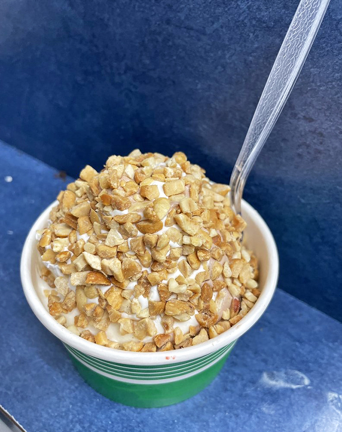 A vanilla-chocolate twist that defies gravity and expectations. In the Florida heat, this cone is worth its weight in gold.