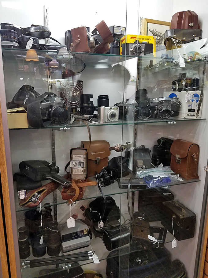 Vintage camera enthusiasts will feel like kids in a candy store. These mechanical marvels captured moments long before selfies were a thing.