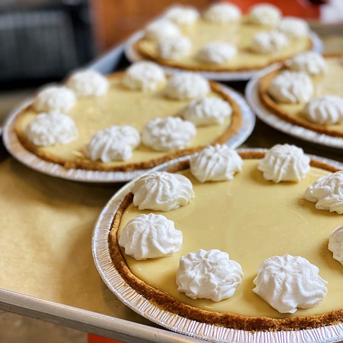 The artful dollops of whipped cream dance around the edge like little clouds celebrating the sunshine-yellow filling beneath.