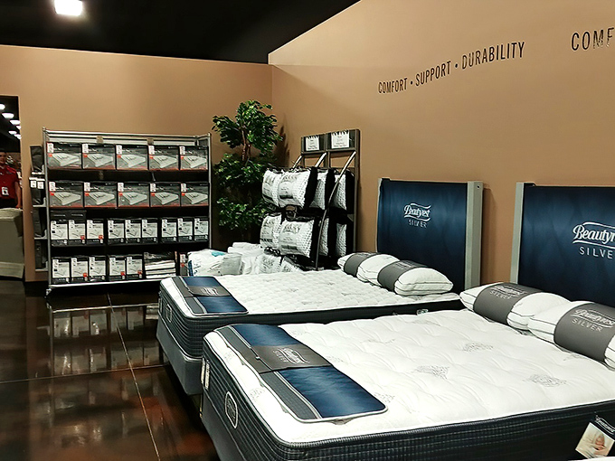 The mattress showroom: where adults get permission to nap in public while pretending to make responsible purchasing decisions.