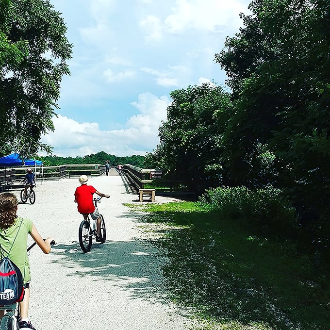 Family biking adventures create better memories than any theme park—no lines, no $7 water bottles, just sunshine and smiles.