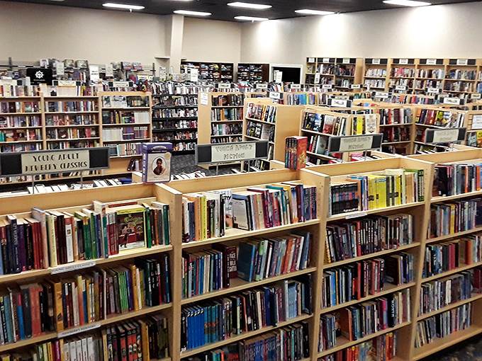 From floor to ceiling, the organized chaos of shelving creates that perfect treasure-hunt feeling bibliophiles live for.