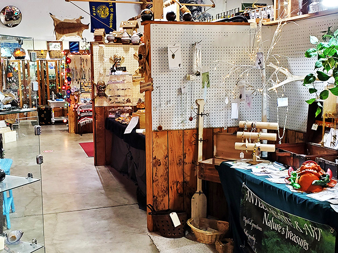 A wonderland of plush companions waiting for their second chance at love. These teddy bears have seen things, man.