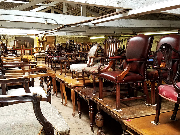 Chair lineup worthy of a royal intervention. If these seats could talk, they'd brag about the aristocratic posteriors they've supported through the centuries.