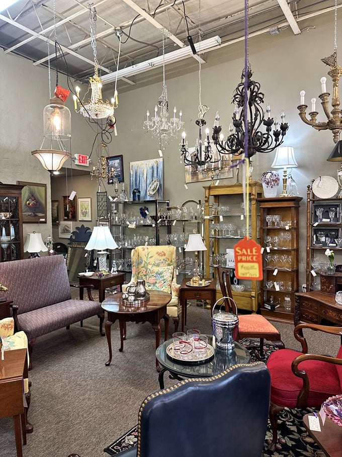 Chandeliers suspended like elegant stalactites, promising to transform your dining room from "Tuesday night takeout spot" to "where royalty might drop by."