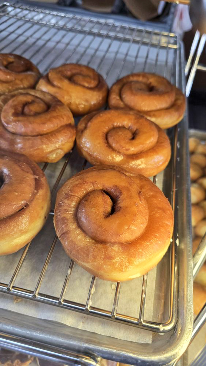 Cinnamon rolls with perfect spirals that hypnotize you into forgetting about your diet. Resistance is futile, surrender is sweet.