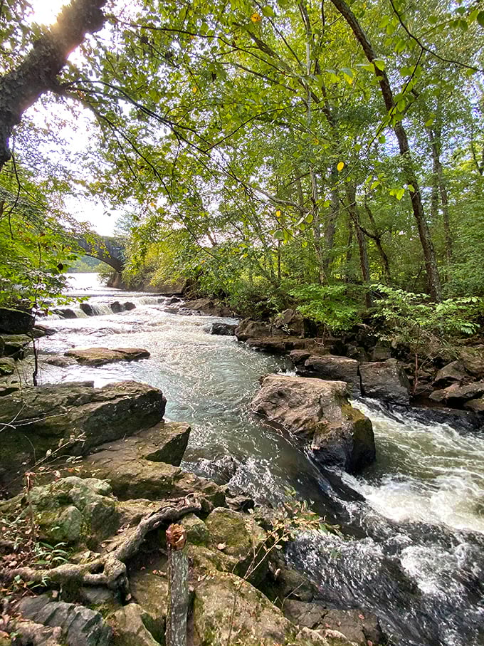 Hard Labor Creek earns its name with rushing waters carving through ancient rocks. Mother Nature's original water feature installed long before HGTV made them trendy.
