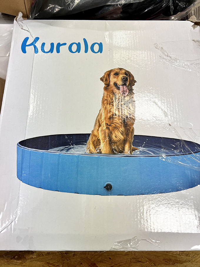 Even Fido gets lucky at Kool Bins! This collapsible dog pool would have my golden retriever doing backflips of joy.