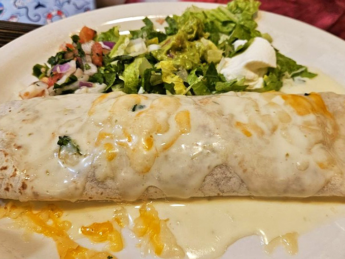 That moment when your burrito arrives draped in cheese like it's wearing a delicious evening gown, with a fresh salad playing supporting role.