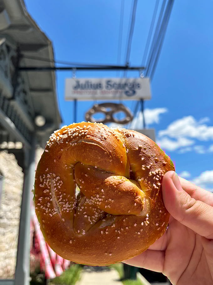 Holding this perfectly browned, salt-speckled masterpiece against the blue Pennsylvania sky feels like capturing a moment of pure culinary joy.