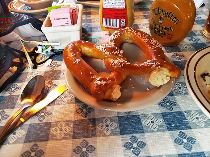 Some relationships don't last forever, but the bond between this pretzel and sweet-hot German mustard is eternal. Just look at that glow!