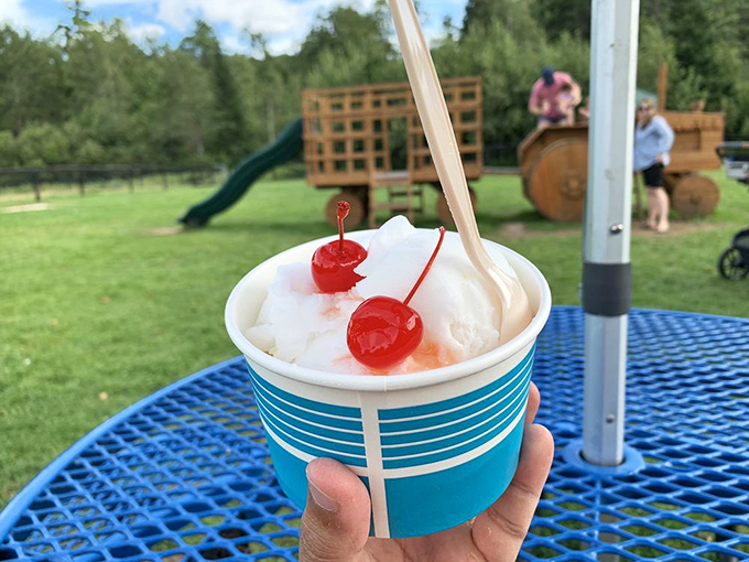 Summer's heat wave antidote in a blue-striped cup. Nothing says "victory over humidity" quite like this pristine white scoop crowned with cherries.