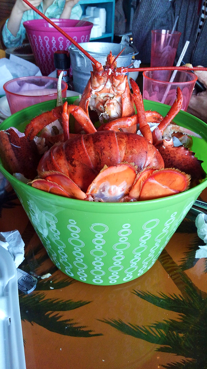The lobster in this green bowl isn't just fresh – it's having an identity crisis thinking it landed in the Caribbean instead of Ohio.