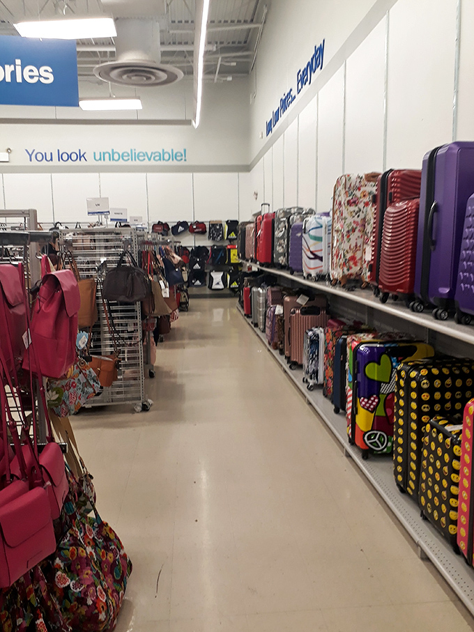 Luggage that's ready for adventure without requiring its own travel budget. From weekend getaways to grand tours, all bases covered.