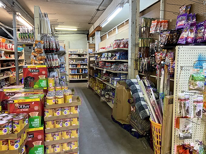 From snacks to cleaning supplies, the pet section ensures your furry friends live their best lives.