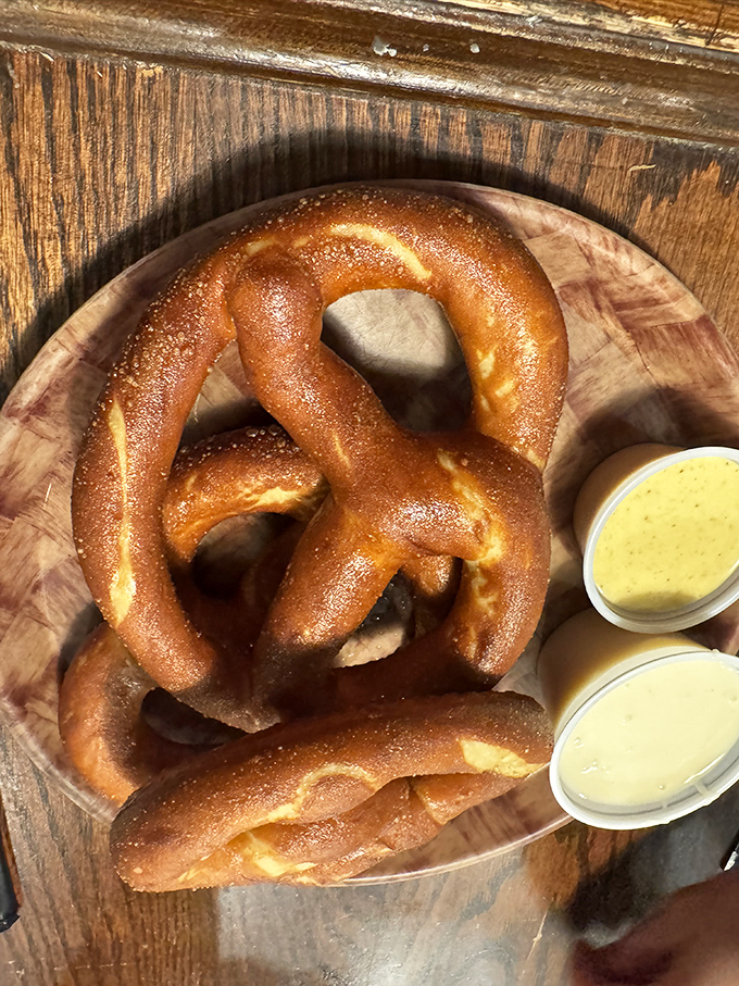 German pretzel perfection: gloriously brown, impressively twisted, and served with enough mustard to make your sinuses stand at attention.