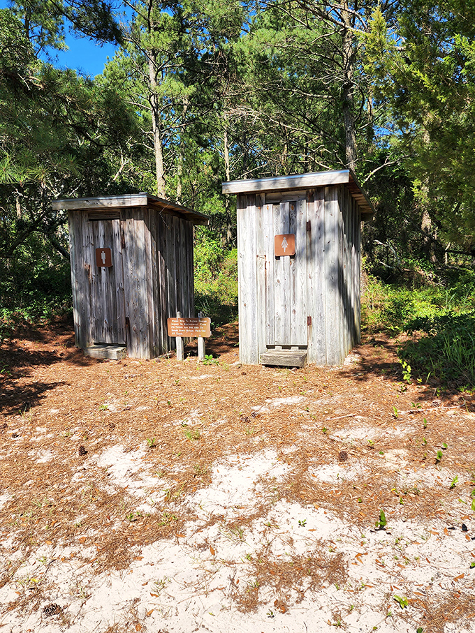 Luxury accommodations, False Cape style&mdash;where the bathroom view changes with the seasons and ventilation is never an issue.