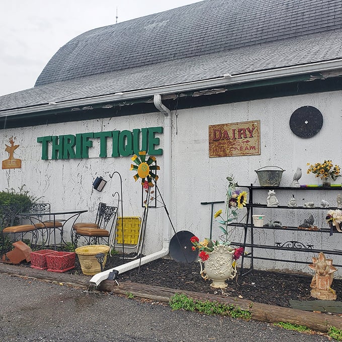 "Thriftique" perfectly captures that sweet spot between thrift store prices and boutique finds. Garden treasures await the patient browser.