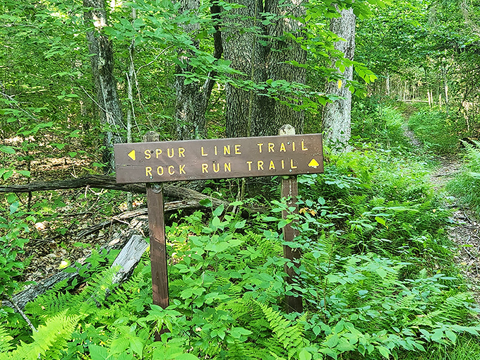 Trail markers point the way to adventure beyond the beach. Follow these wooden guides to discover the park's network of scenic paths.