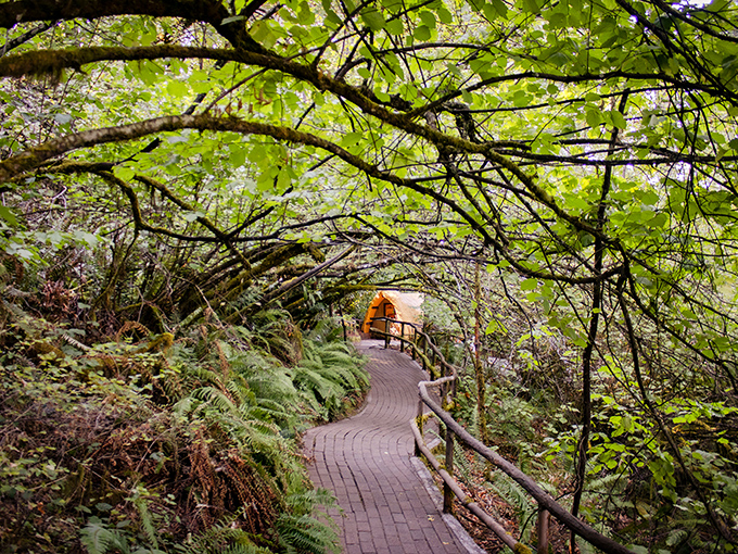 The winding forest paths create natural transitions between fantasy worlds. Around every corner, another childhood memory springs to life. 