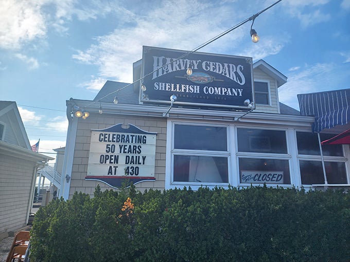 Harvey Cedars Shellfish Co. celebrates 50 years of making LBI visitors forget their swimsuit anxieties through the joy of butter-drenched seafood.