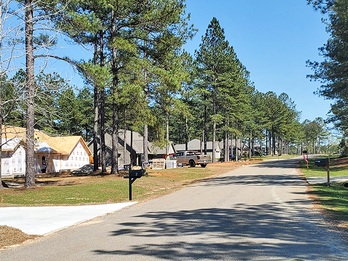 Hattiesburg's urban landscape shows off its blend of historic charm and modern energy under moody Mississippi skies.