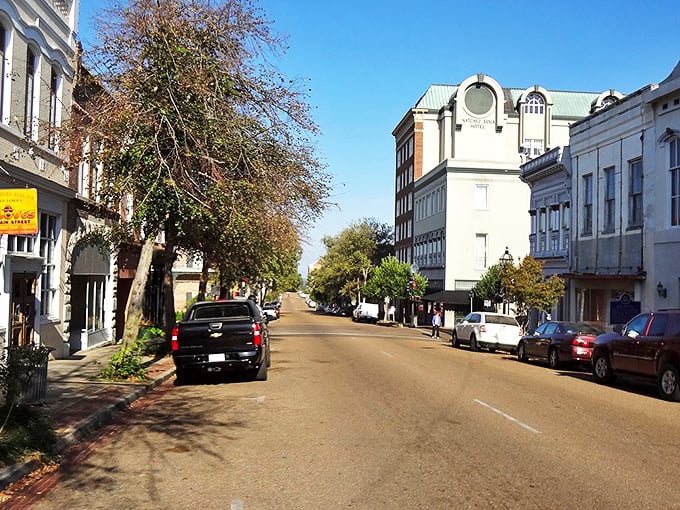 Natchez's historic downtown looks like it was plucked from a Southern novel, complete with characters you'd want to have coffee with. 