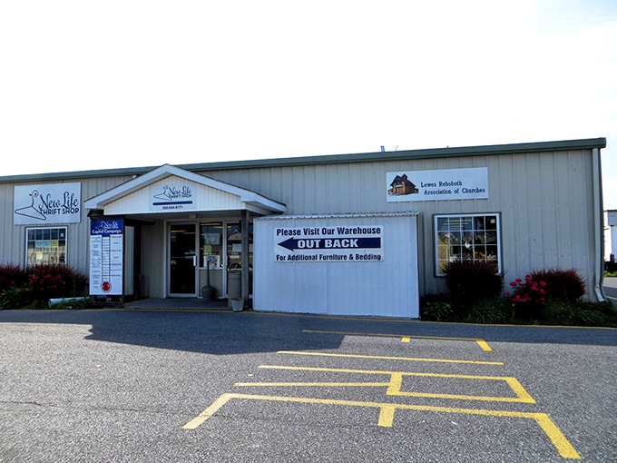 New Life's warehouse-sized selection proves that second chances can be bigger and better than firsts.